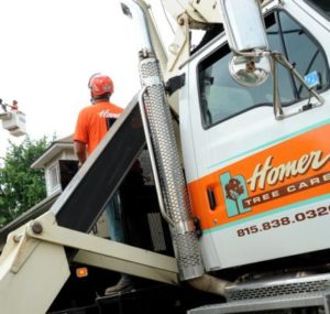 Tree Care | Tree Services | Tree Removal | Homer Tree