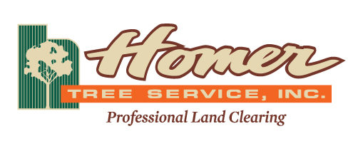 About Homer Tree | Leaders in Tree Care & Clearing
