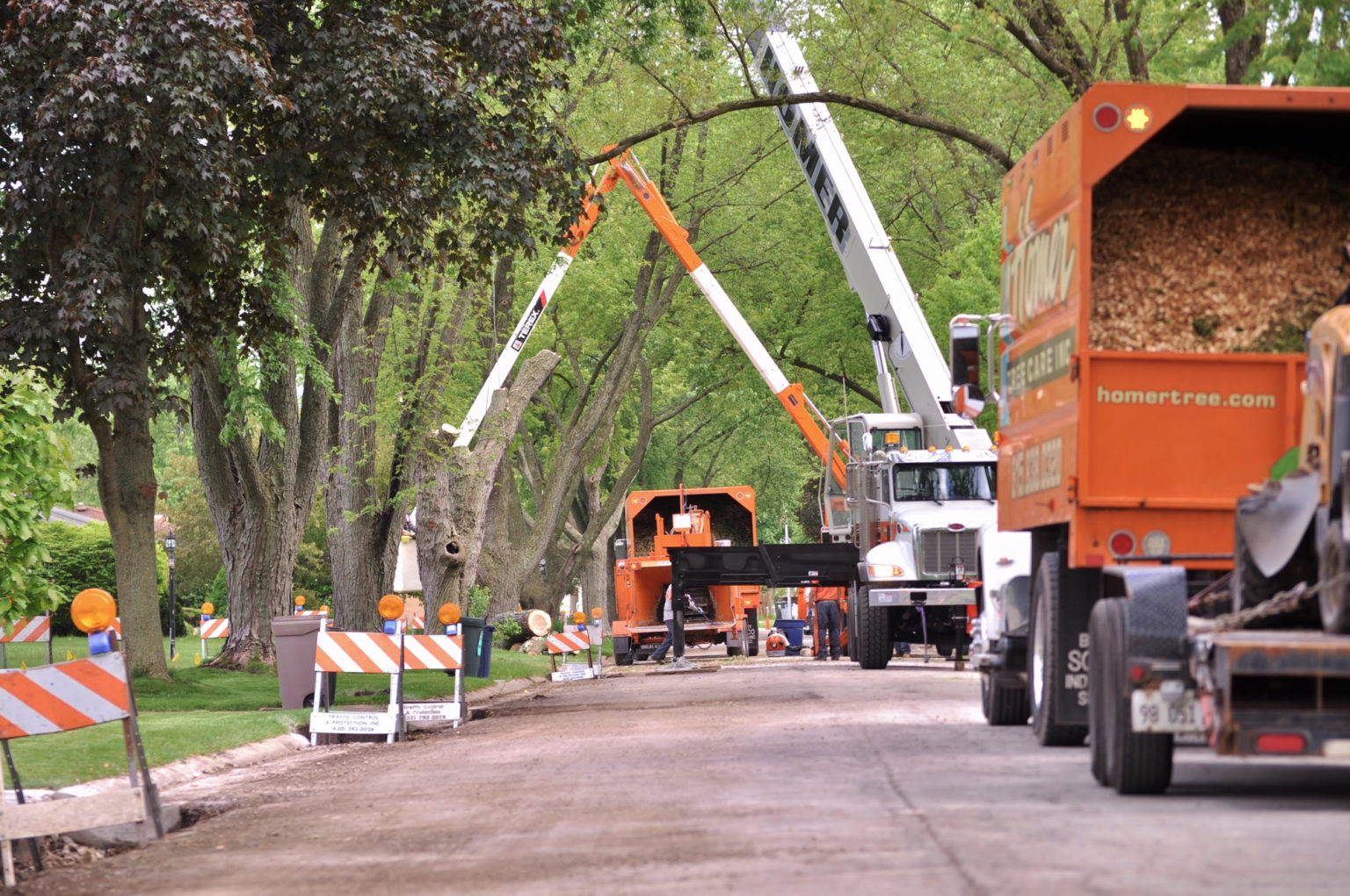 Tree Care | Tree Services | Tree Removal | Homer Tree