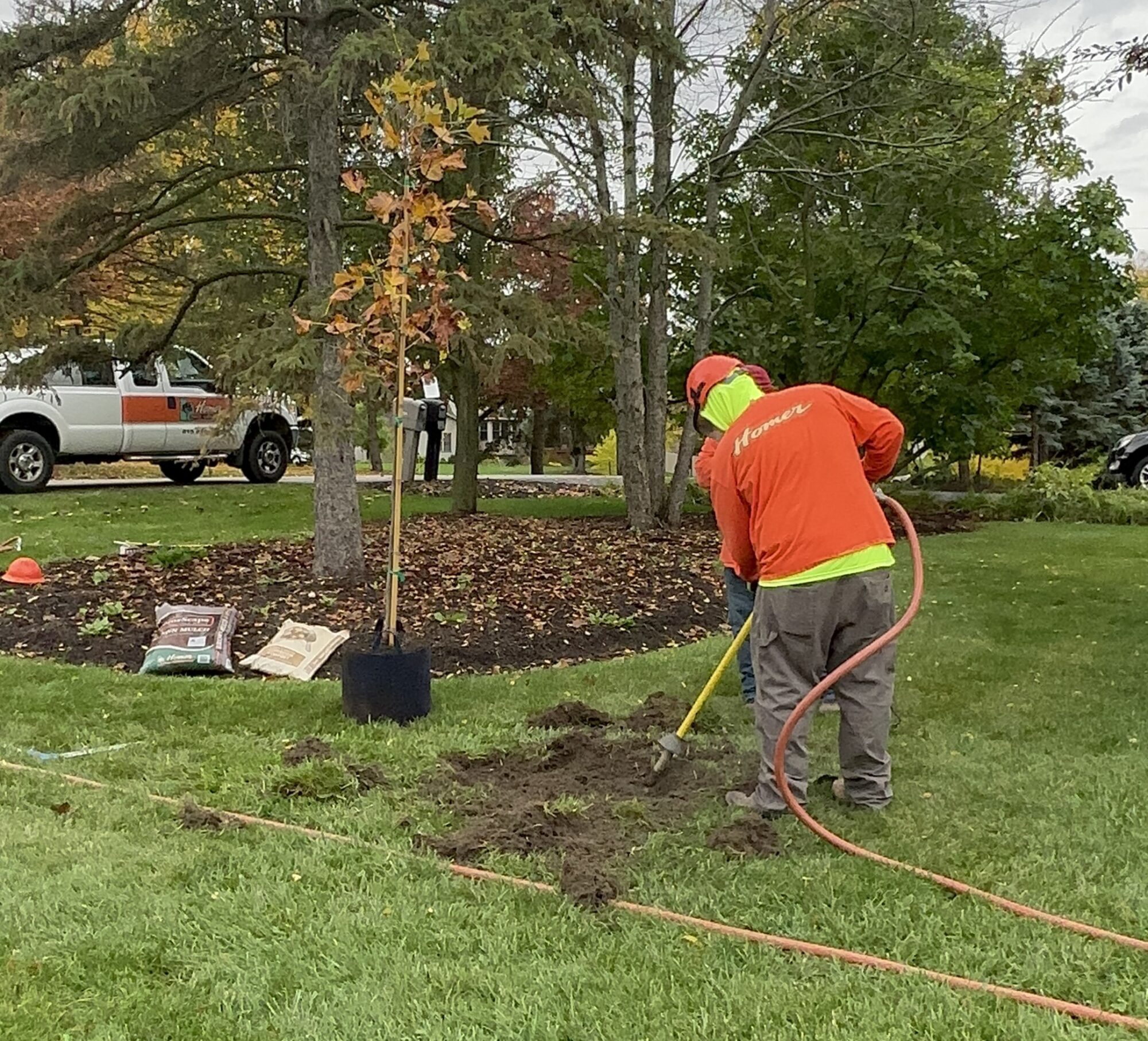 Grow Bags: The Root Revolution in Tree Transplanting - Homer Companies