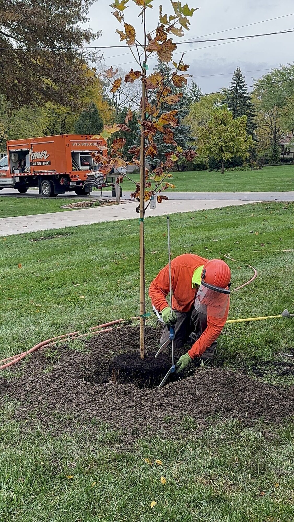 Traditional Tree Planting: Ball and Burlap - Homer Companies
