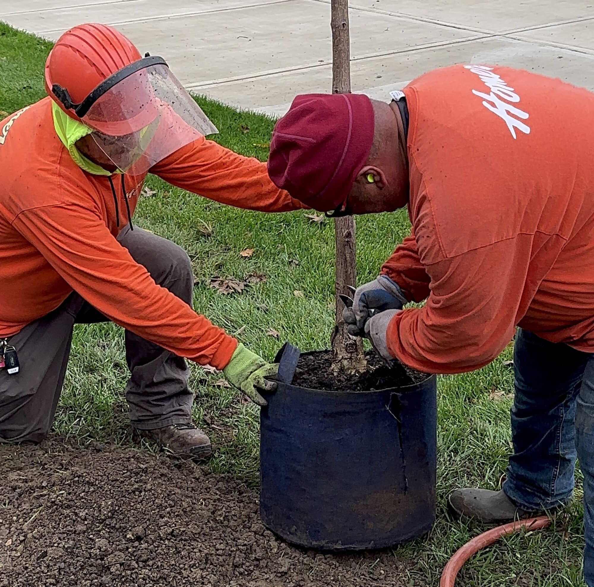 Grow Bags: The Root Revolution in Tree Transplanting - Homer Companies