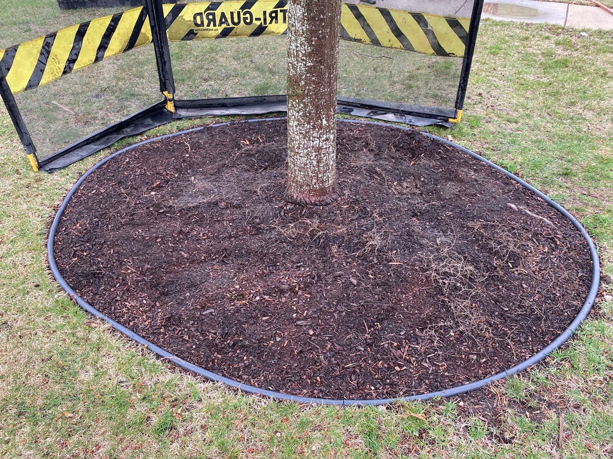 Unearthing the Hidden Threat: Root Collar Disorders - Homer Companies