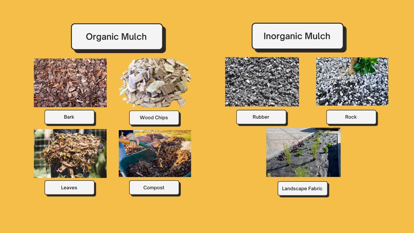 Types of Mulch: Which Type of Mulch is Best for Your Landscape? - Homer ...