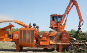 Land Clearing & Tree Removal Services | Homer Tree