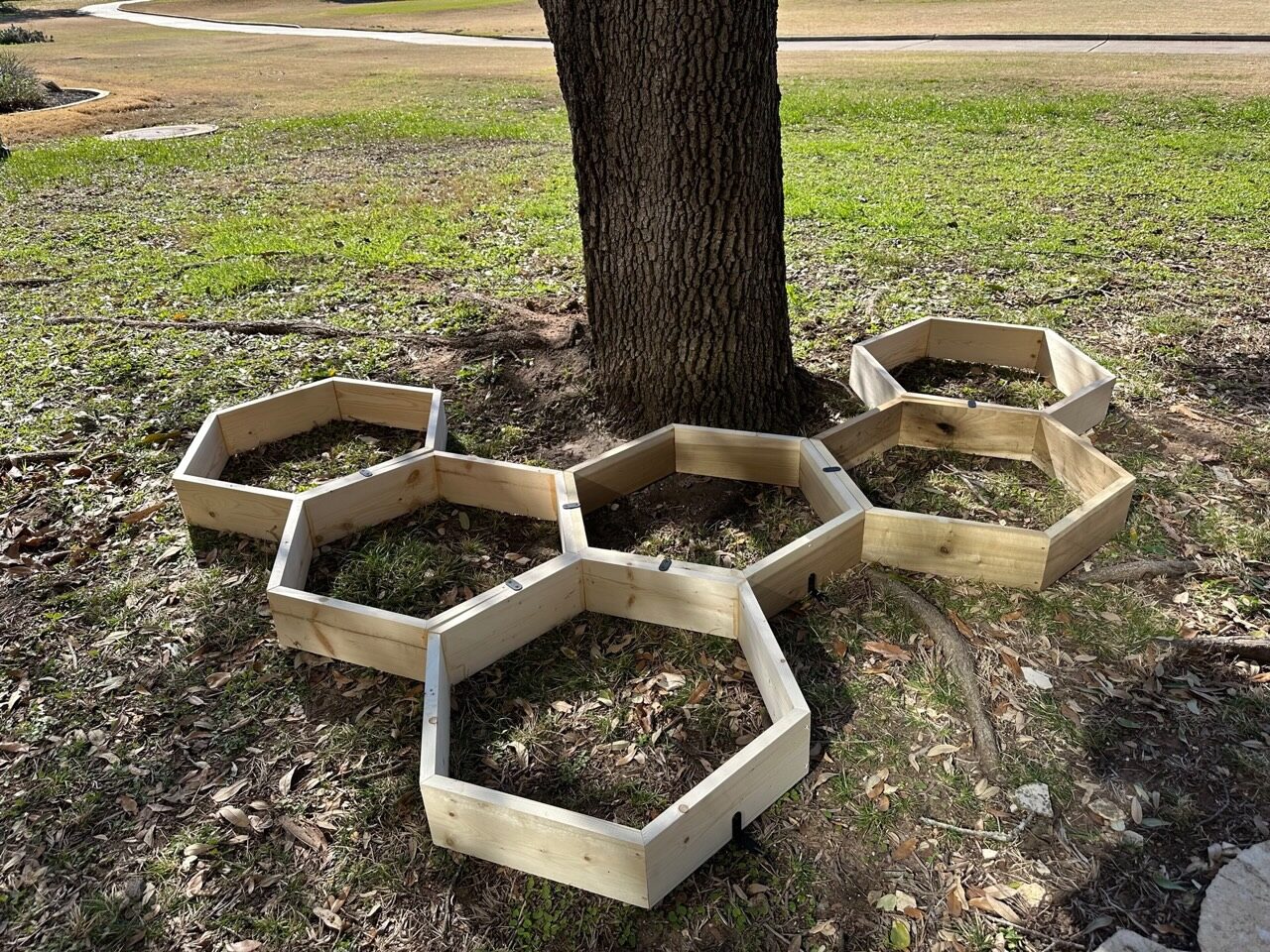 Why Leaf Litter Matters - Homer Companies