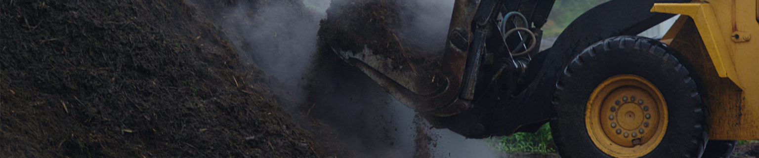 Contact Homer Tree | Request Info or Service Estimates